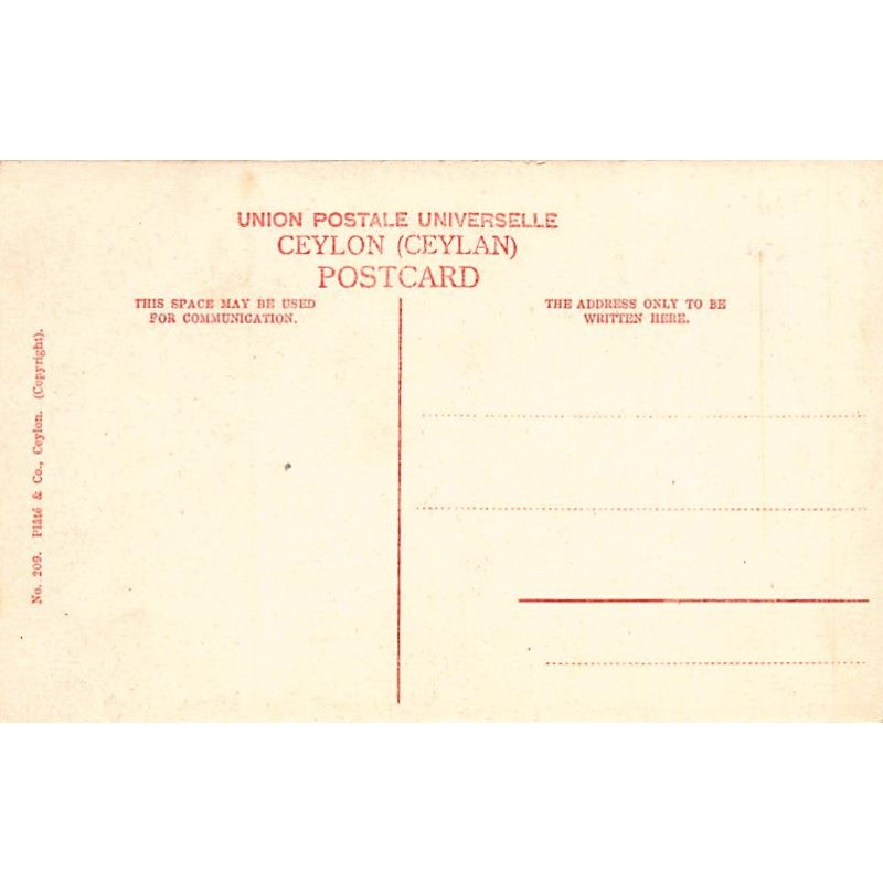 Rare collectable postcards of Panama. Vintage Postcards of Panama