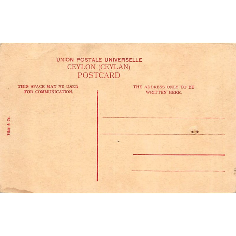 Rare collectable postcards of French Polynesia Vintage Postcards of ...