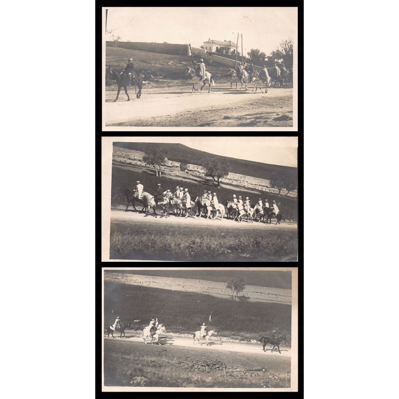 Rare collectable postcards of ALGERIA. Vintage Postcards of ALGERIA