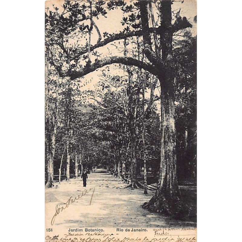 Rare collectable postcards of BRAZIL. Vintage Postcards of BRAZIL