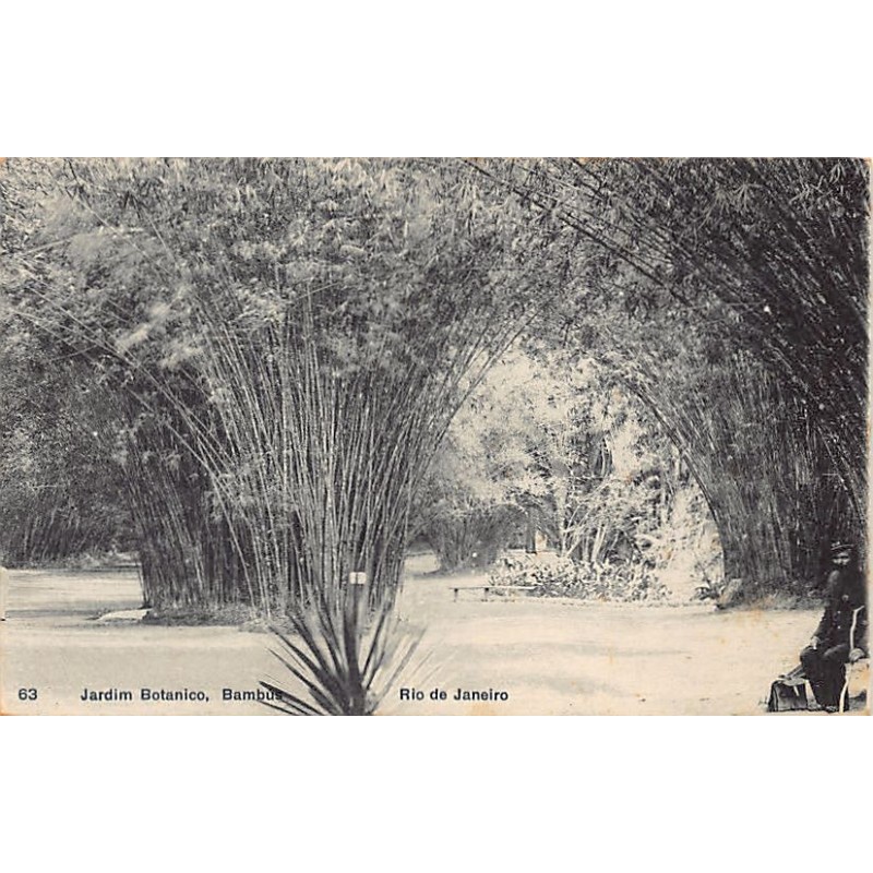 Rare collectable postcards of BRAZIL. Vintage Postcards of BRAZIL