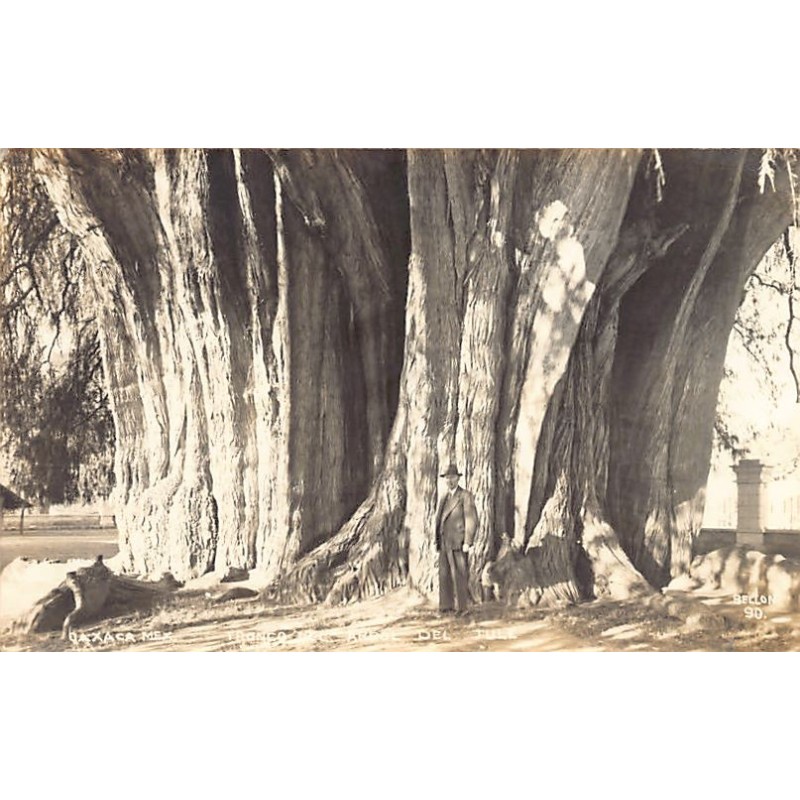 Rare collectable postcards of MEXICO. Vintage Postcards of MEXICO