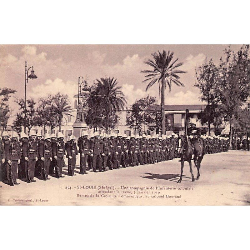 Rare collectable postcards of SENEGAL. Vintage Postcards of SENEGAL