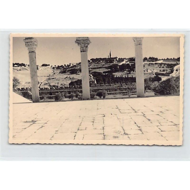 Rare collectable postcards of ISRAEL & PALESTINE. Vintage Postcards of ...