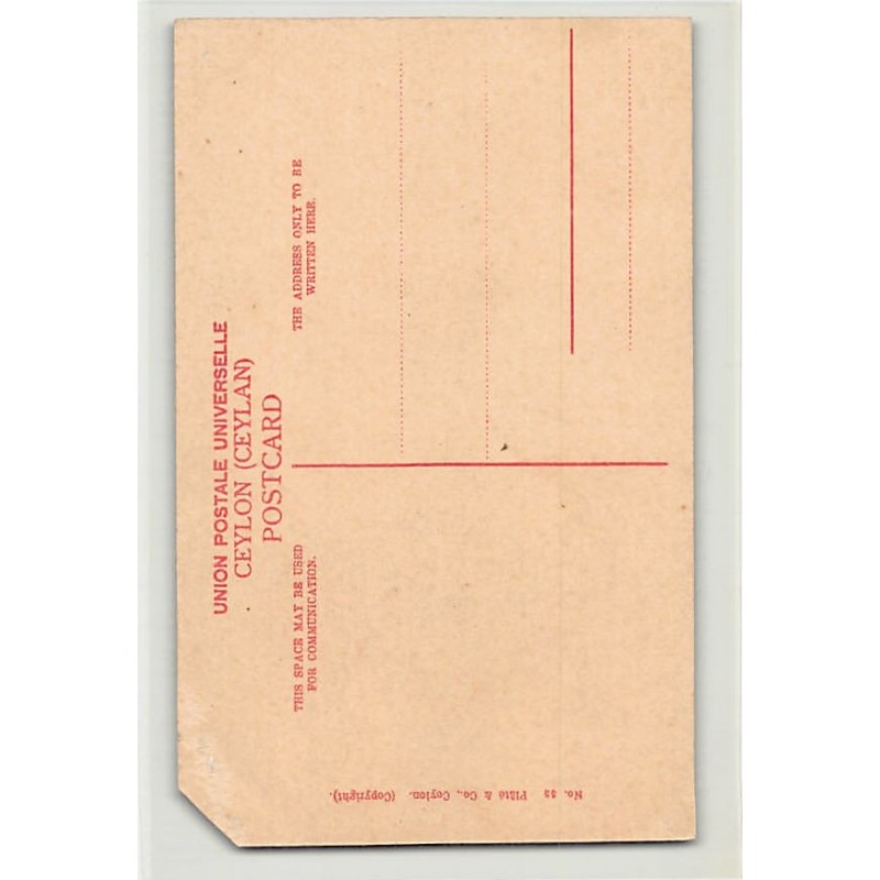 Rare collectable postcards of ETHNIC NUDE. Vintage Postcards of ETHNIC NUDE