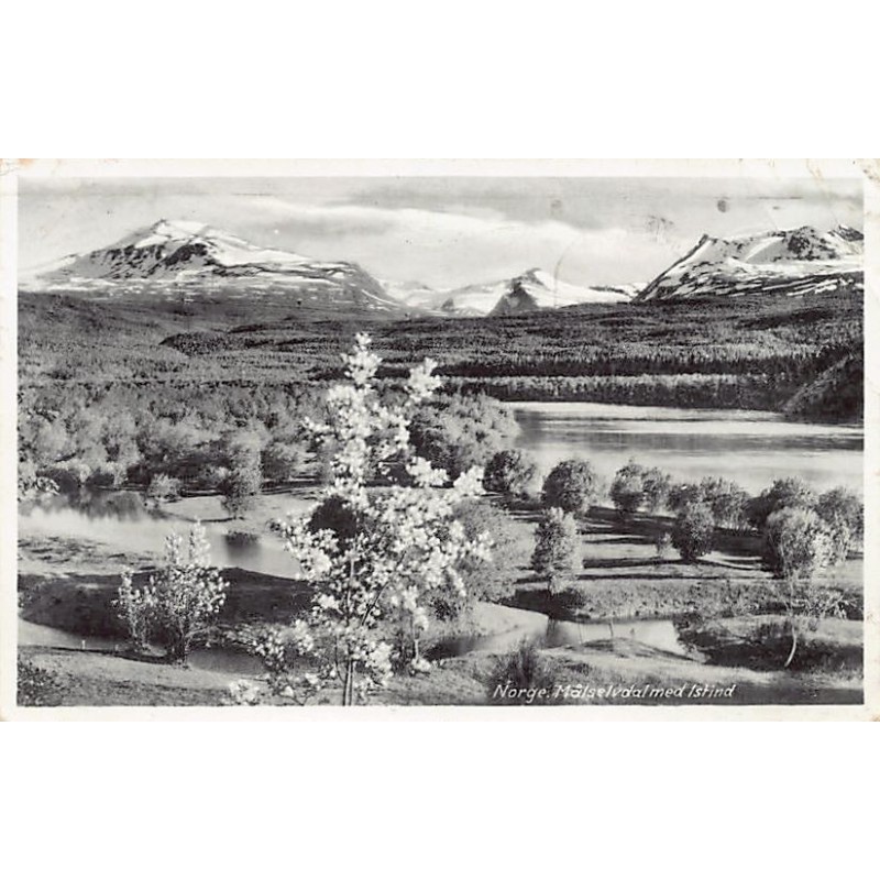 Rare collectable postcards of Norway. Vintage Postcards of Norway