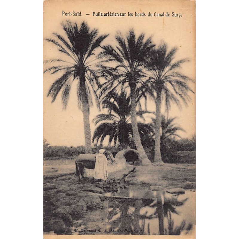 Rare collectable postcards of Egypt. Vintage Postcards of Egypt
