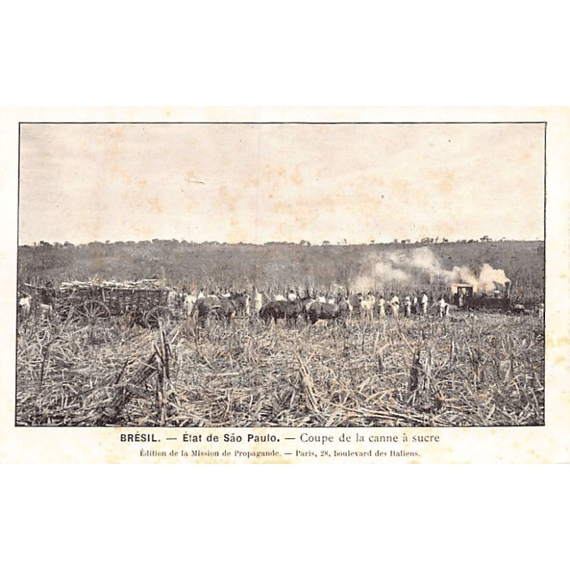 Rare collectable postcards of Brazil. Vintage Postcards of Brazil