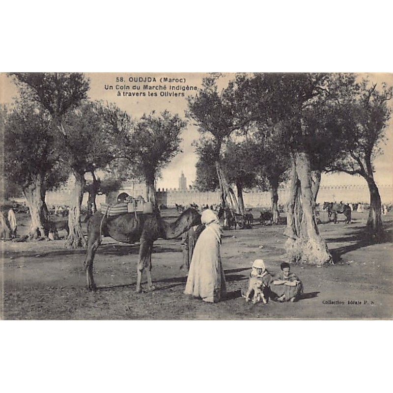 Rare collectable postcards of Morocco. Vintage Postcards of Morocco
