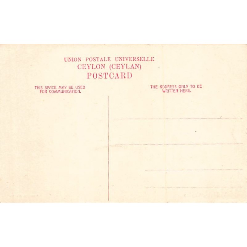 Rare collectable postcards of ETHNIC NUDE. Vintage Postcards of ETHNIC NUDE