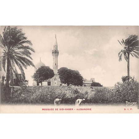 Rare collectable postcards of EGYPT. Vintage Postcards of EGYPT