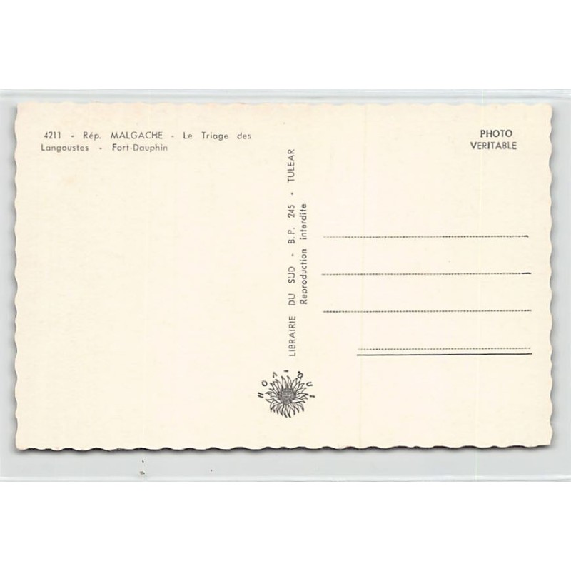 Rare collectable postcards of MADAGASCAR. Vintage Postcards of MADAGASCAR