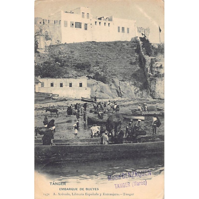 Rare collectable postcards of MOROCCO. Vintage Postcards of MOROCCO