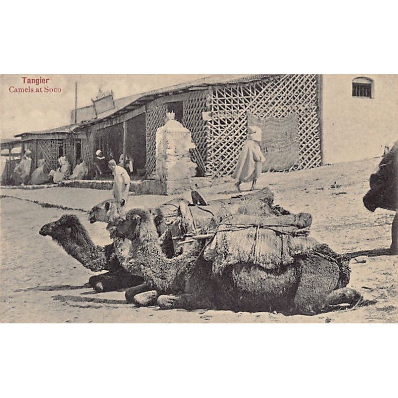 Rare collectable postcards of MOROCCO. Vintage Postcards of MOROCCO