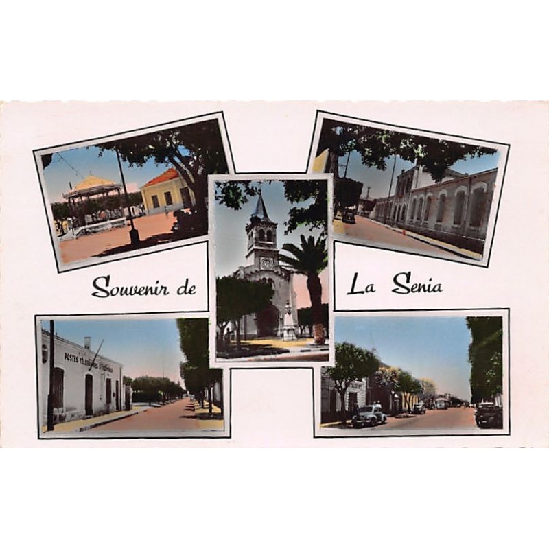 Rare collectable postcards of ALGERIA. Vintage Postcards of ALGERIA