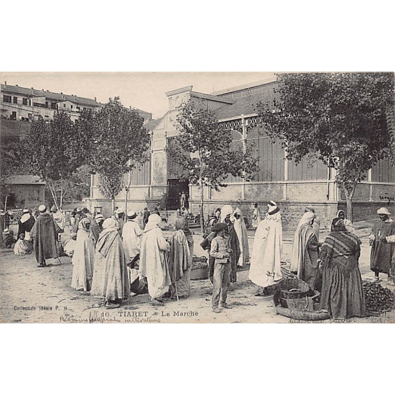 Rare collectable postcards of ALGERIA. Vintage Postcards of ALGERIA