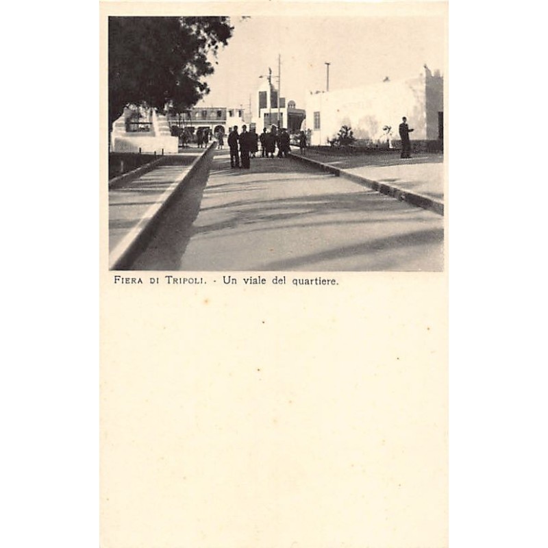 Rare collectable postcards of LIBYA. Vintage Postcards of LIBYA