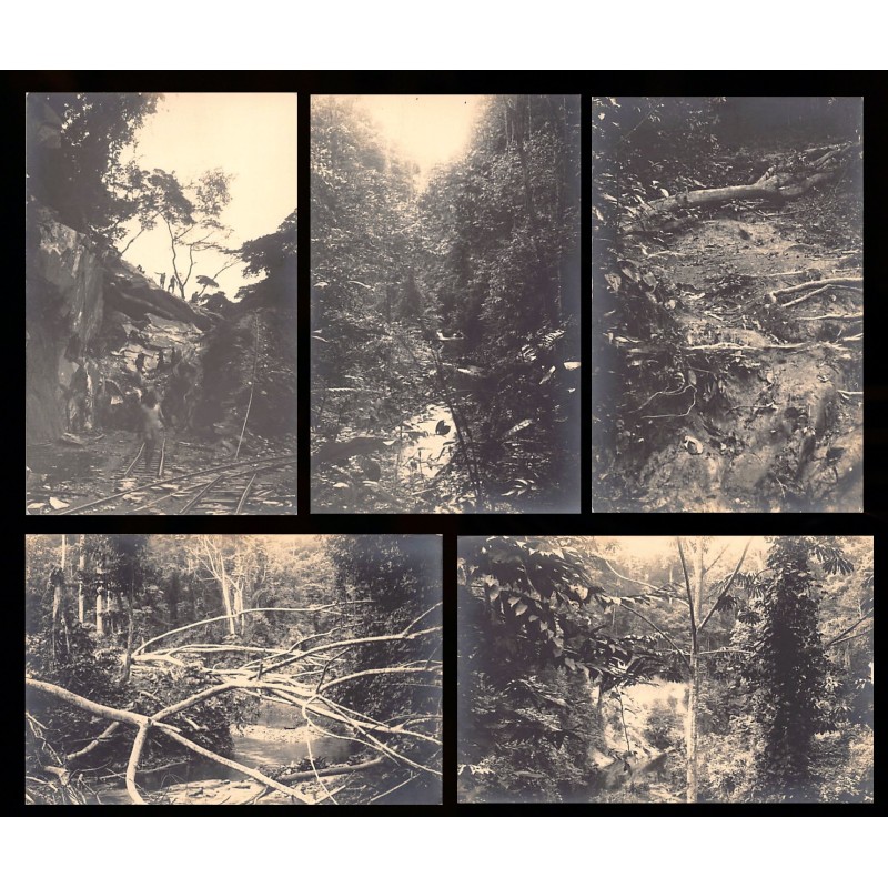 Rare collectable postcards of CONGO BRAZZAVILLE. Vintage Postcards of ...