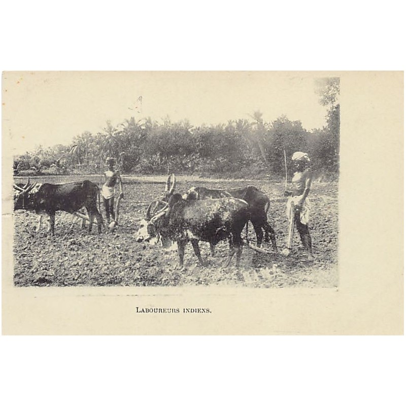 Rare collectable postcards of INDIA. Vintage Postcards of INDIA