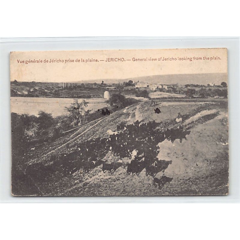 Rare collectable postcards of ISRAEL & PALESTINE. Vintage Postcards of ...