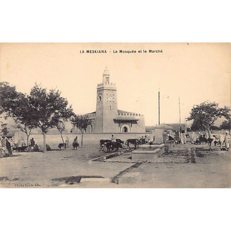 Rare collectable postcards of ALGERIA. Vintage Postcards of ALGERIA